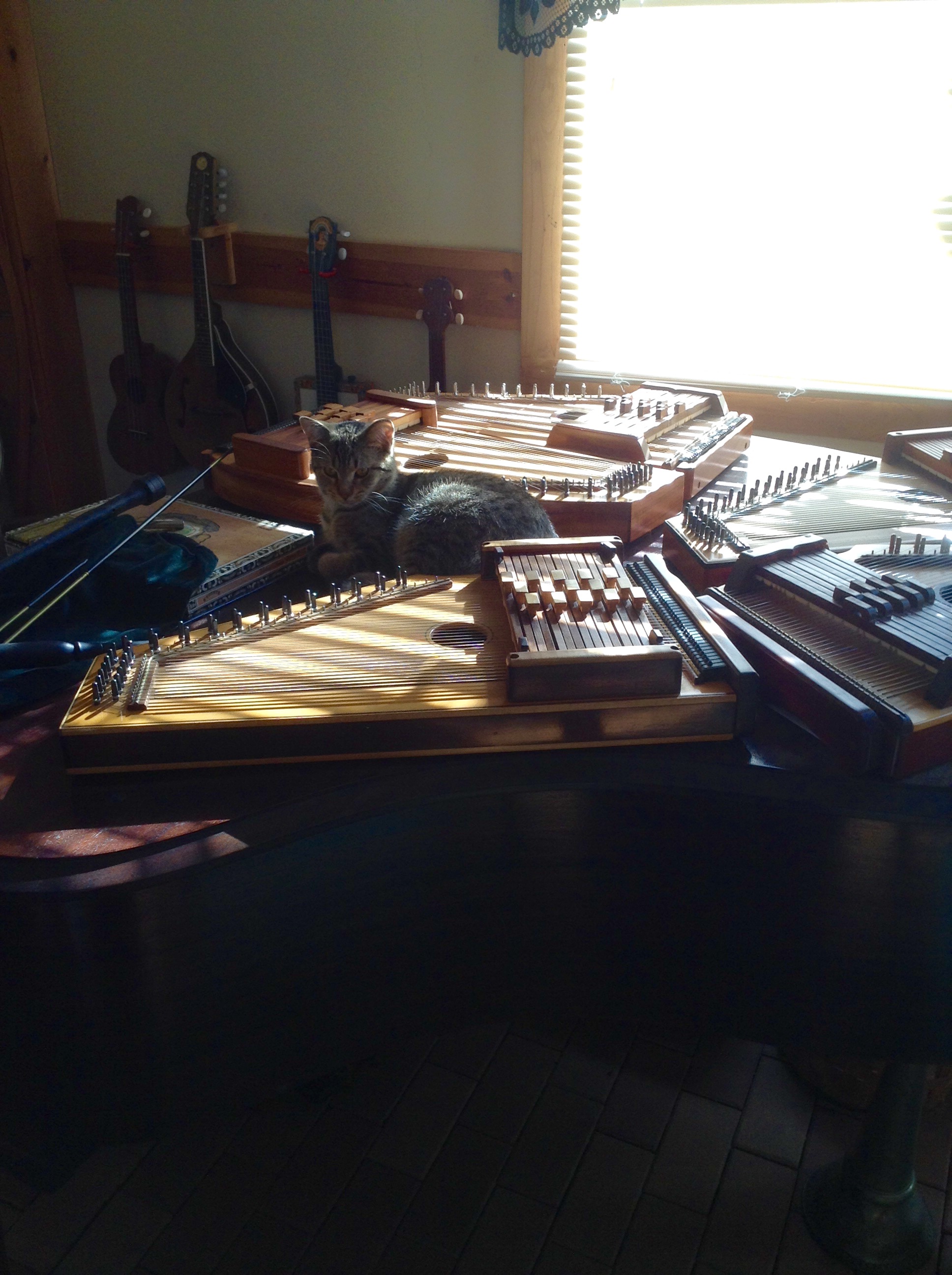 My autoharps | Fret Or Fret Not